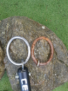 Recommended Training Rings